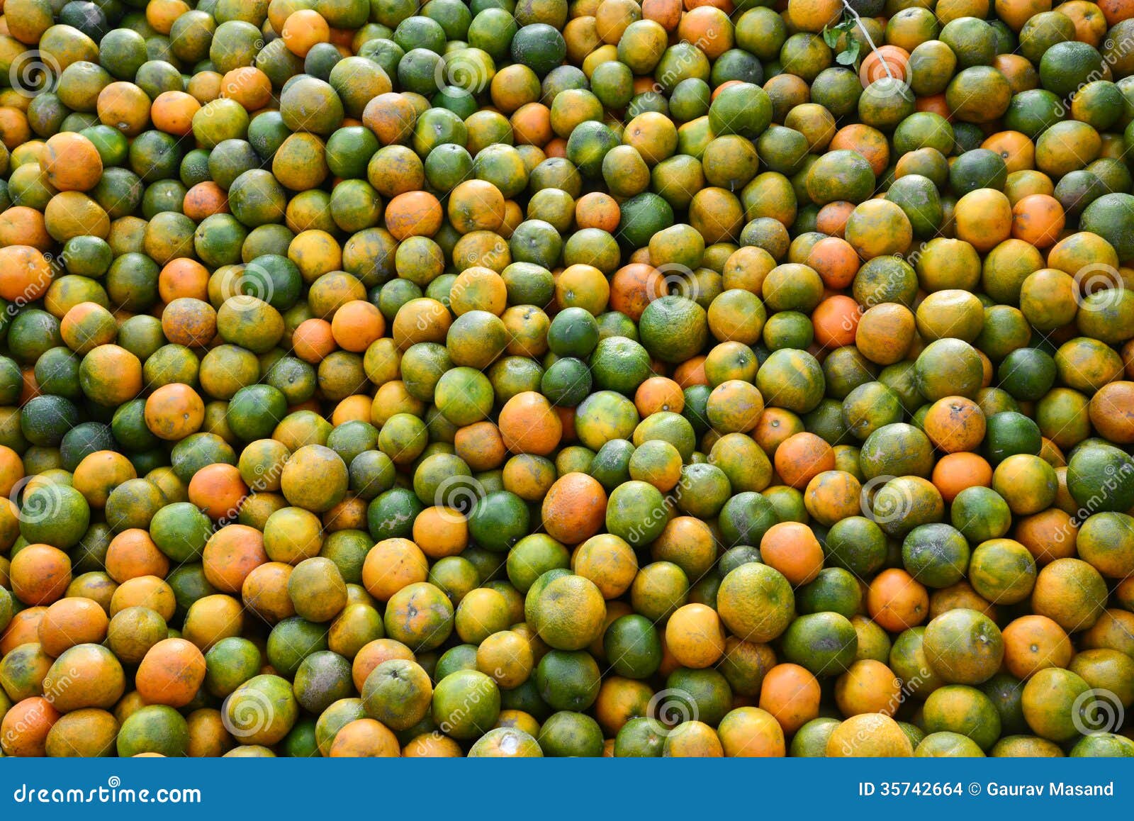 Indian Oranges stock photo. Image of farmers, fruit, market - 35742664