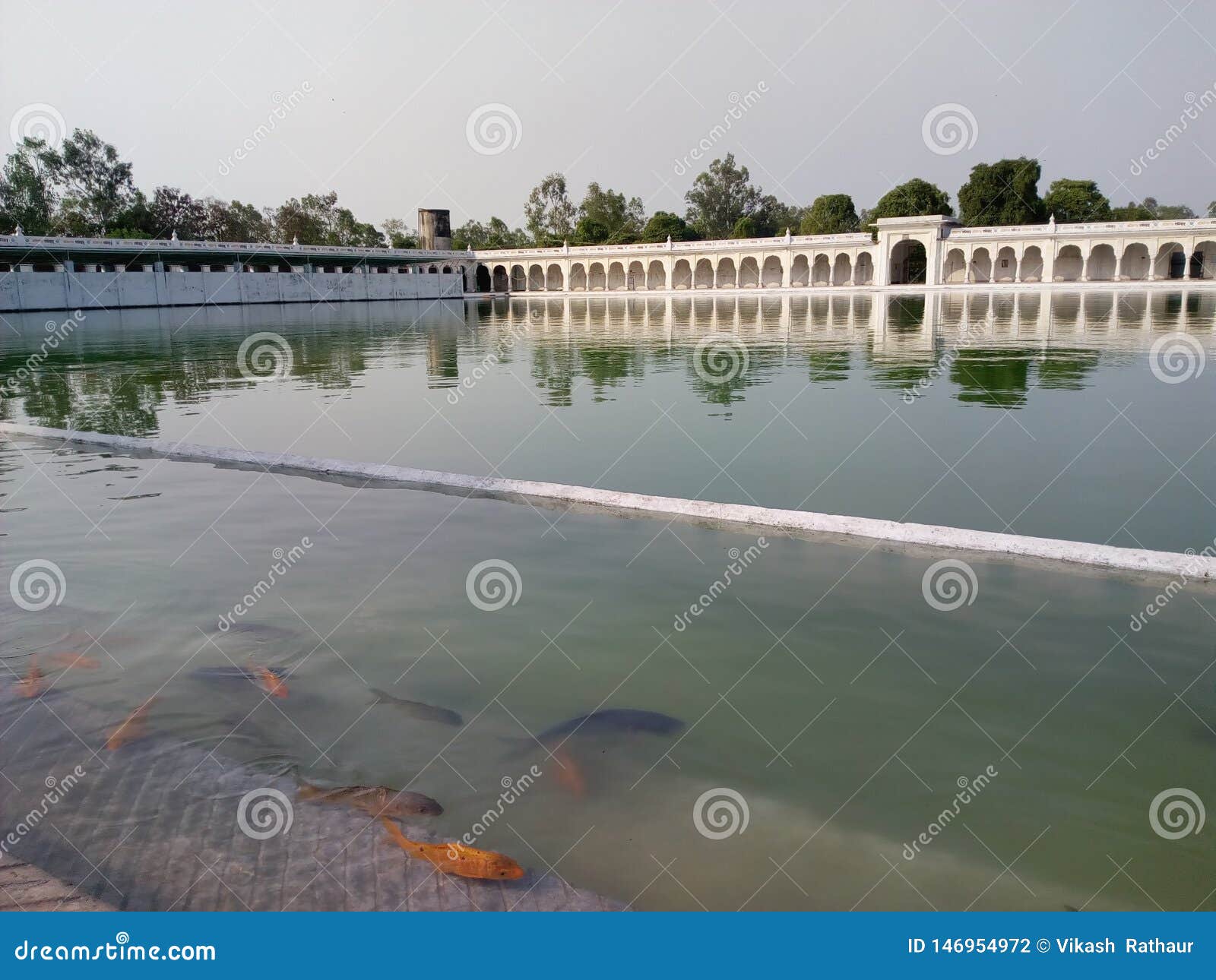 Fish house and pond park stock photo. Image of farmhouse - 146954972