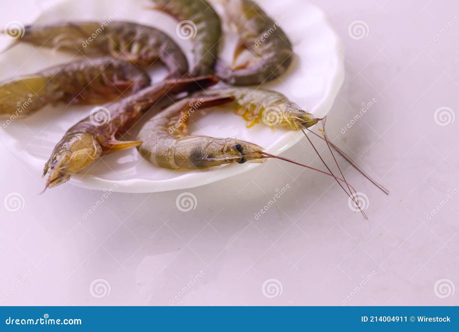 Indian Prawns on a Plate on the Light Purple Surface Stock Image ...