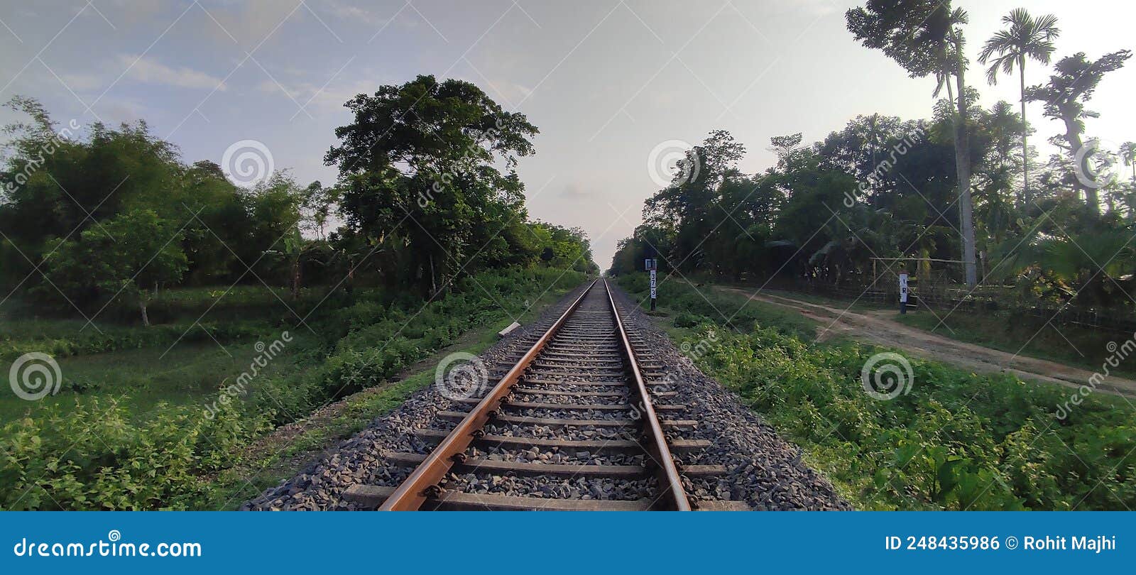 Indian Railway Track in Assam Stock Photo - Image of assam, transport ...