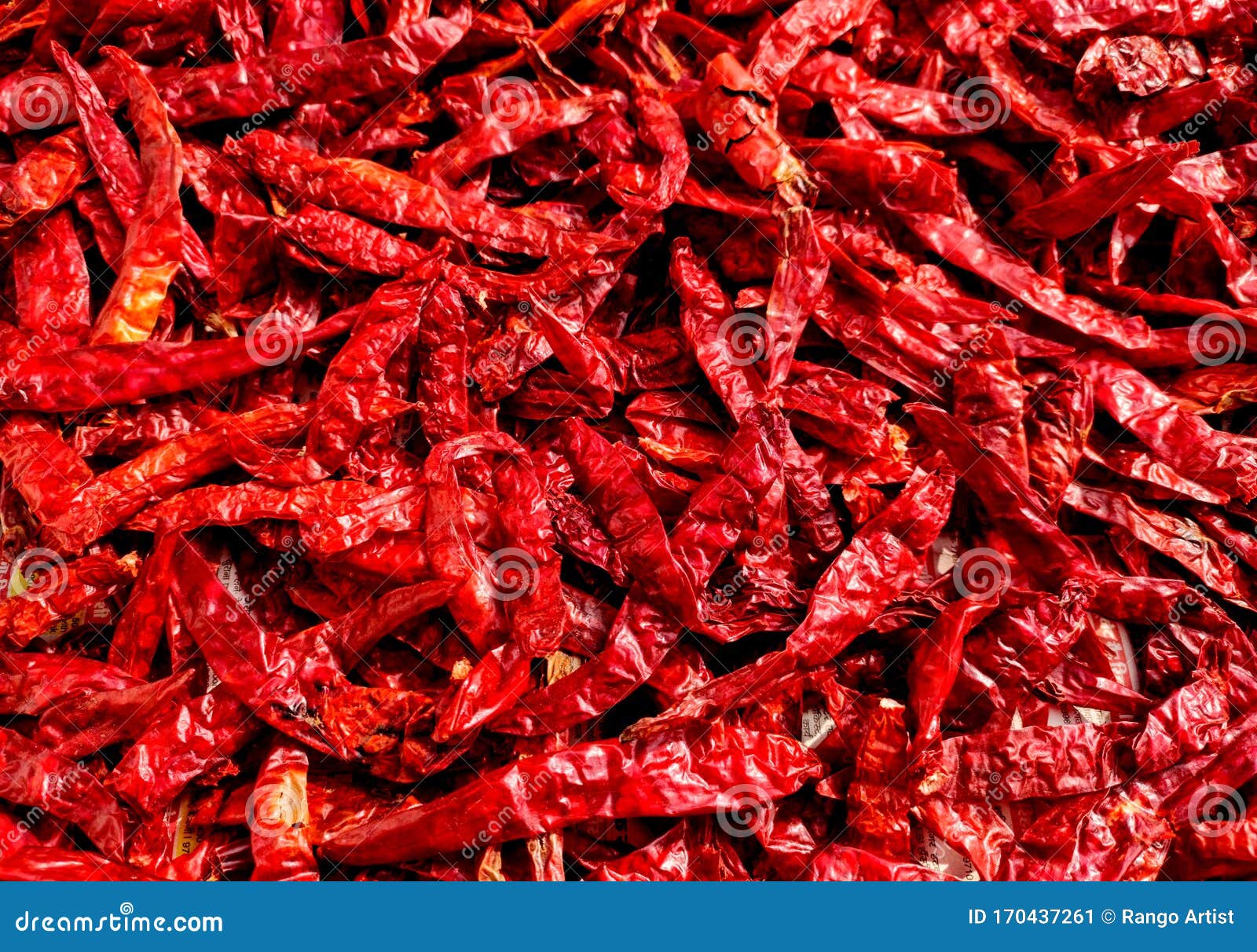 Indian Red Chilli Drying on Terris Stock Image - Image of chilli ...