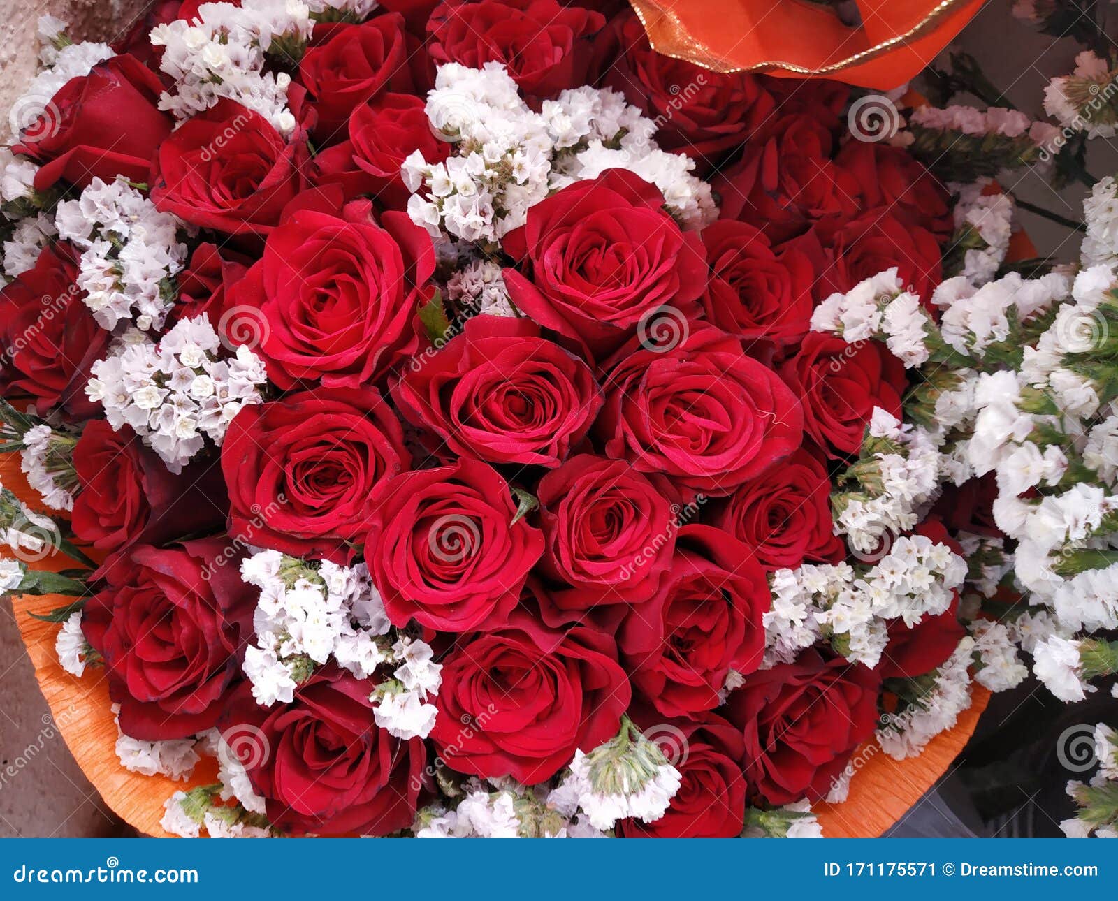 Indian Red Rose Flower Use for Ceremony Stock Image - Image of indian ...