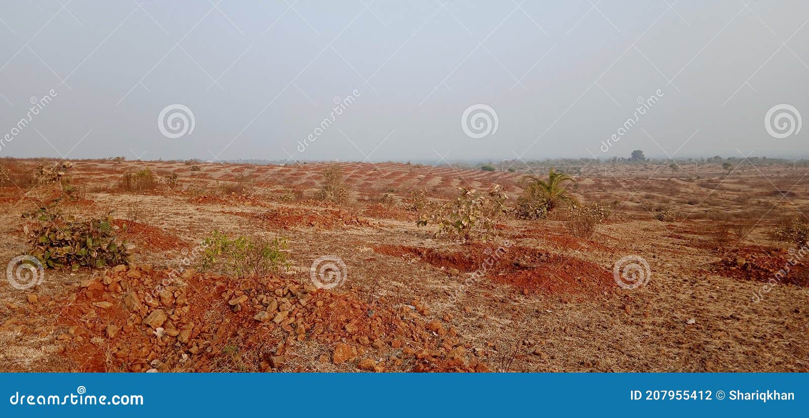 Indian Red Soil Field at Hilltop with Plantation Stock Photo - Image of ...