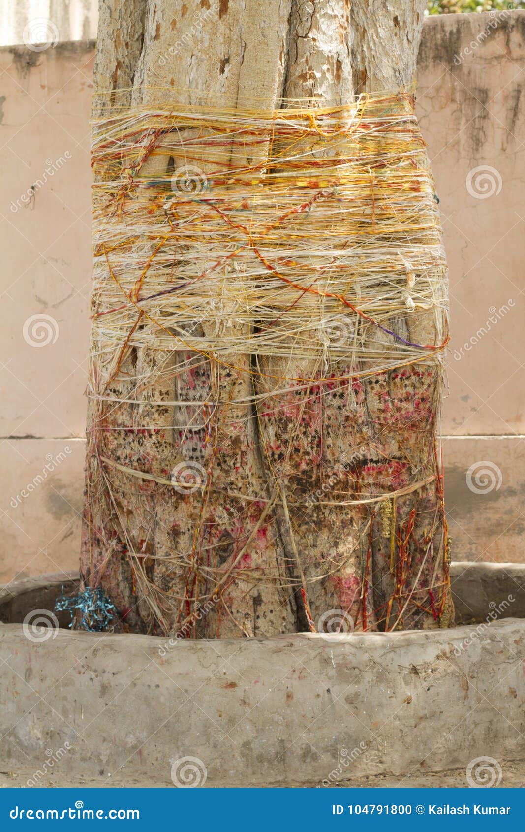 Religious Tree stock photo. Image of ancestral, deity - 104791800