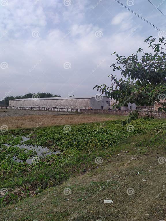 Indian rice grain storage stock image. Image of kasba - 168191967