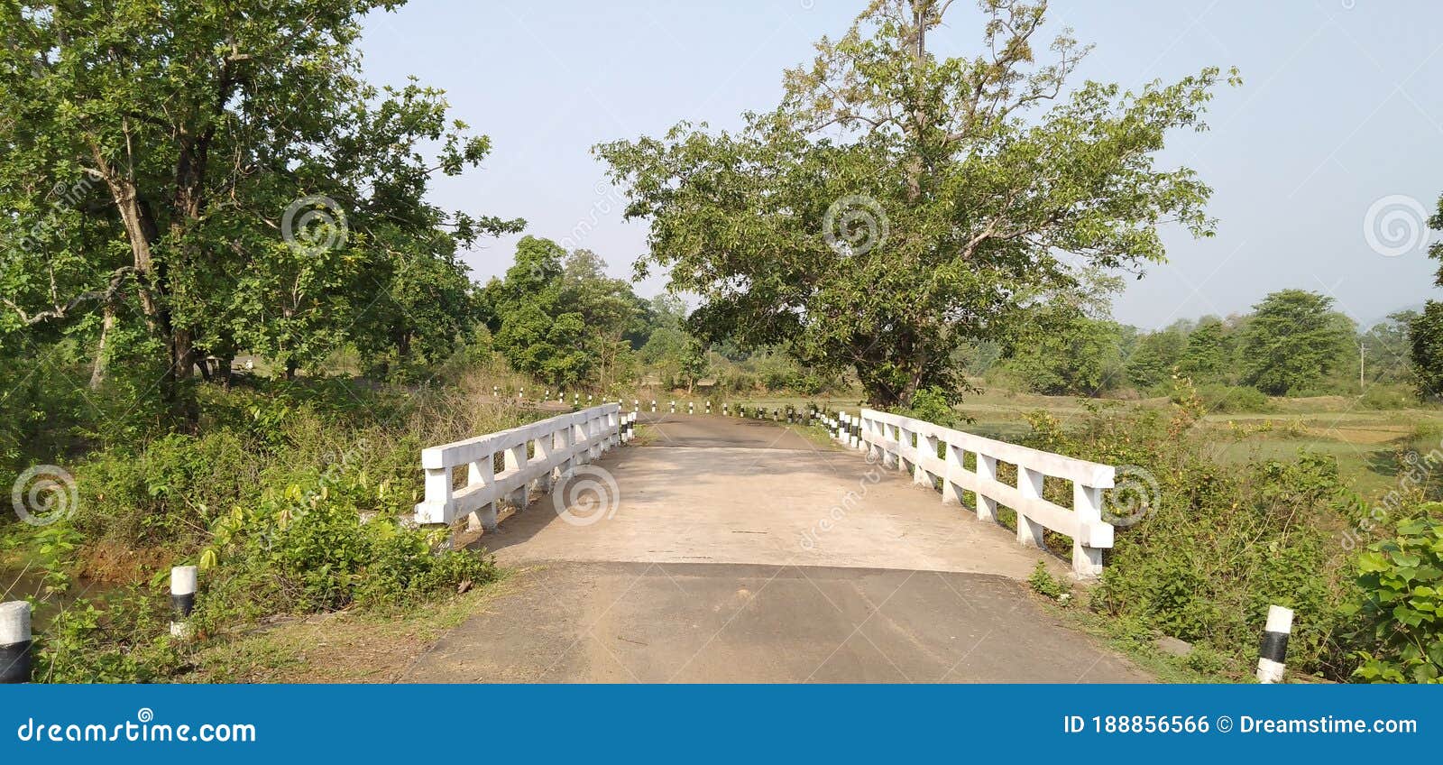 Indian Roads with Bridge and Full of Nature Stock Photo - Image of ...