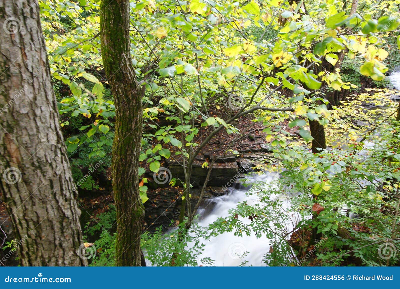 Indian Run Falls Park, Dublin, Ohio Stock Photo - Image of waterfalls ...
