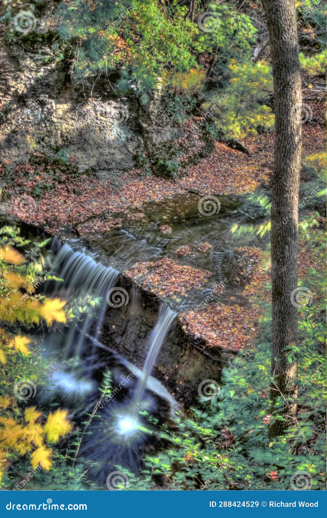 Indian Run Falls Park, Dublin, Ohio Stock Image - Image of woods ...