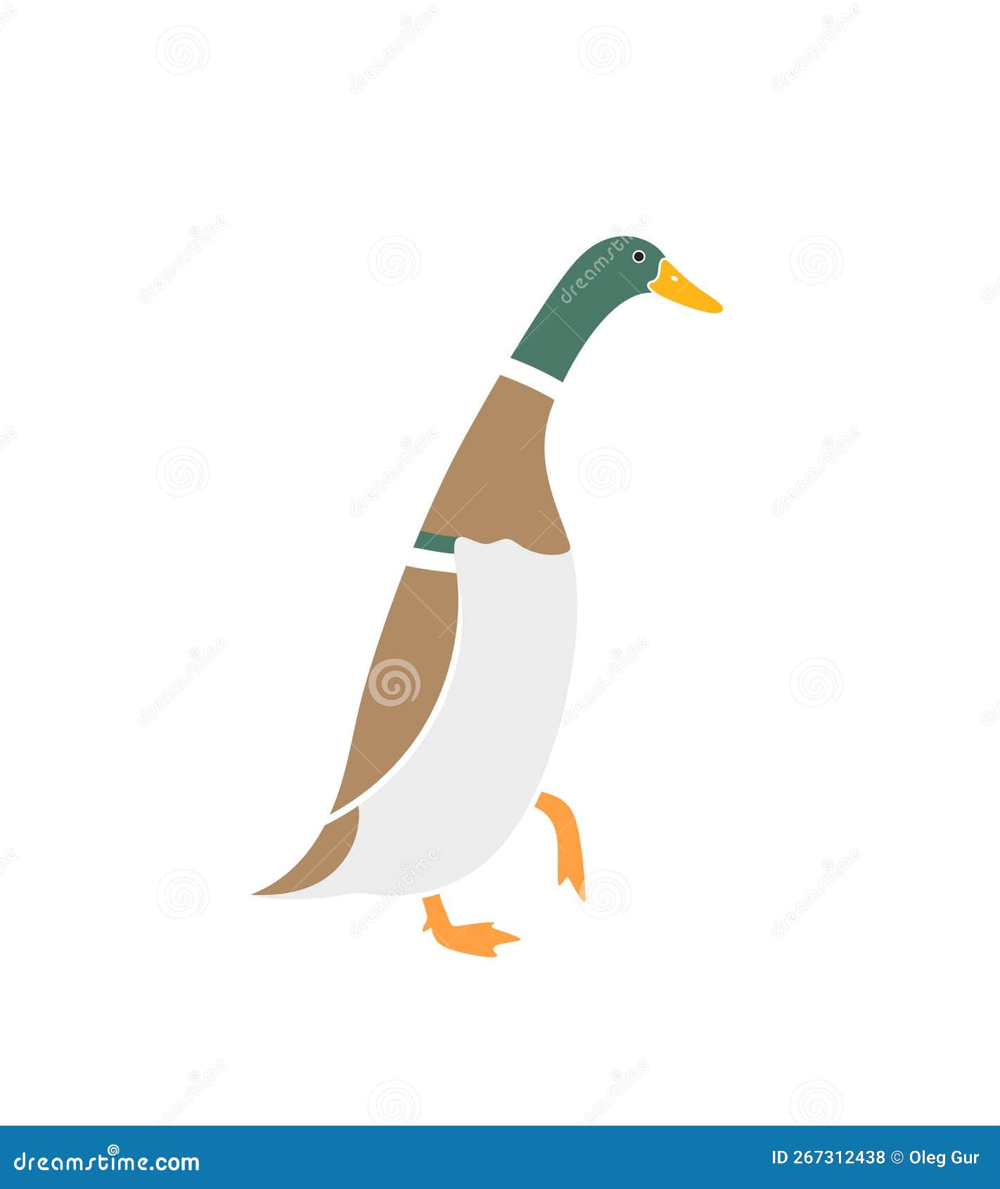 Indian Runner Ducks Logo. Isolated Indian Runner Ducks On White ...