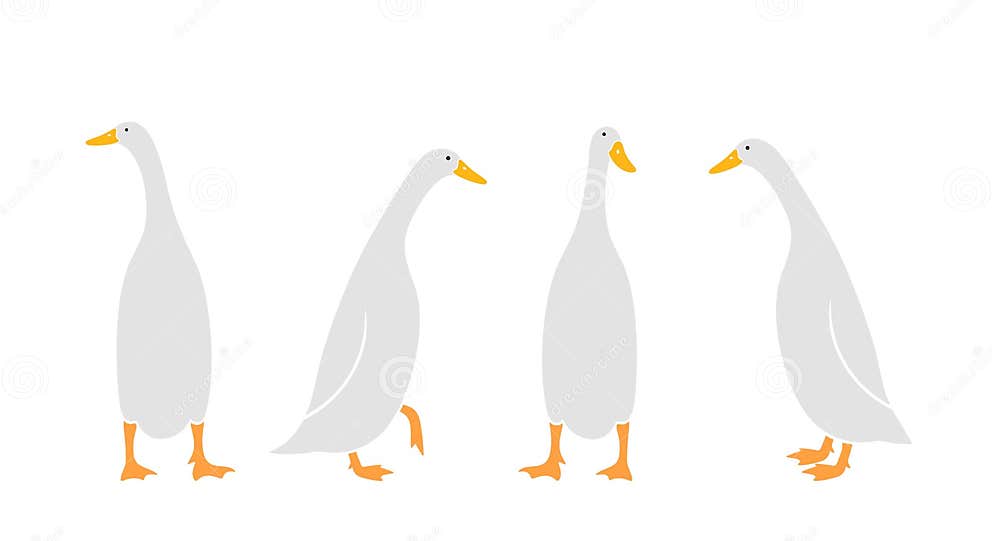 Indian Runner Ducks Logo. Isolated Indian Runner Ducks on White ...