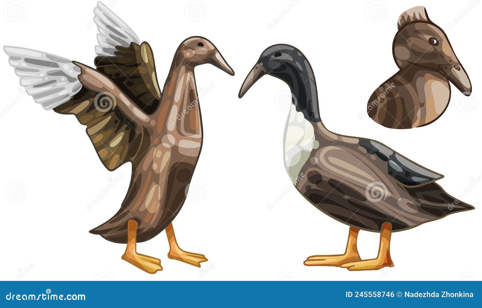 Indian Runners Vector Illustration | CartoonDealer.com #32765598