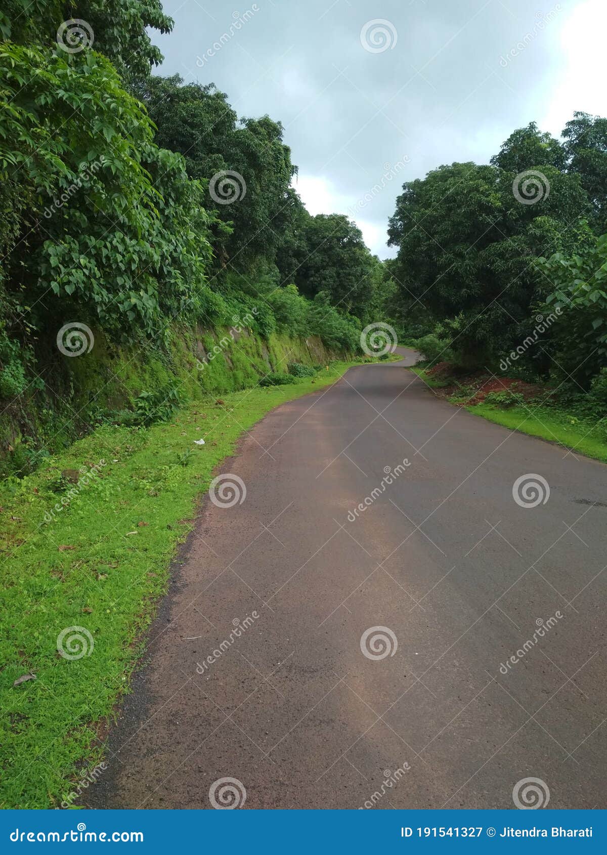 Indian Rural Road with Green Trees and Grass on Both Sides Stock Image ...