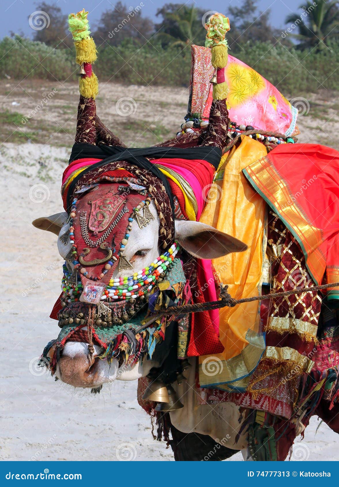 Indian Sacred Ritual : Worship Nature Stock Photography | CartoonDealer ...