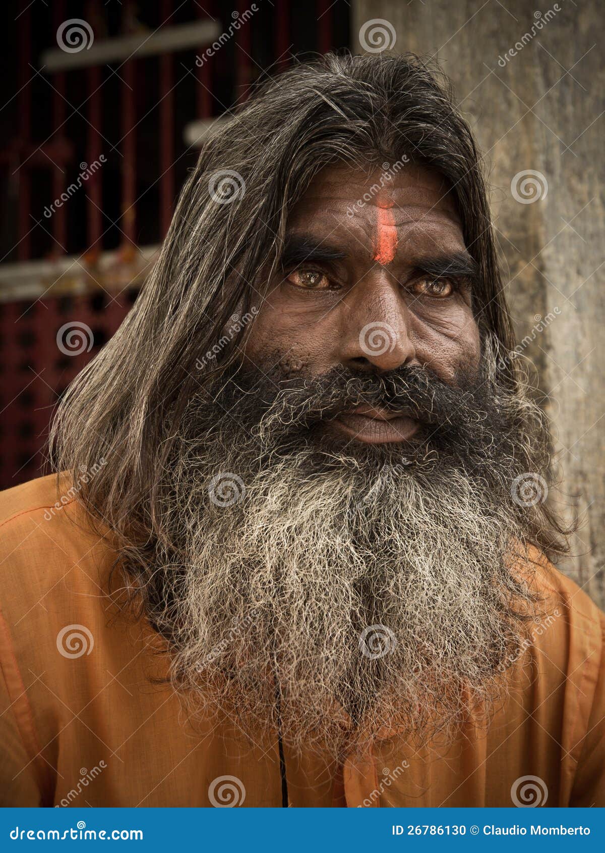 Indian Sadhu editorial image. Image of aging, head, sacrifice - 26786130