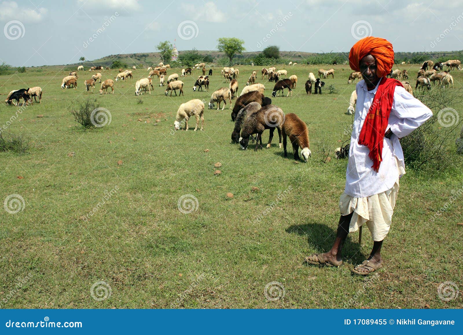 Indian Boy With Sheep Editorial Image | CartoonDealer.com #39406512