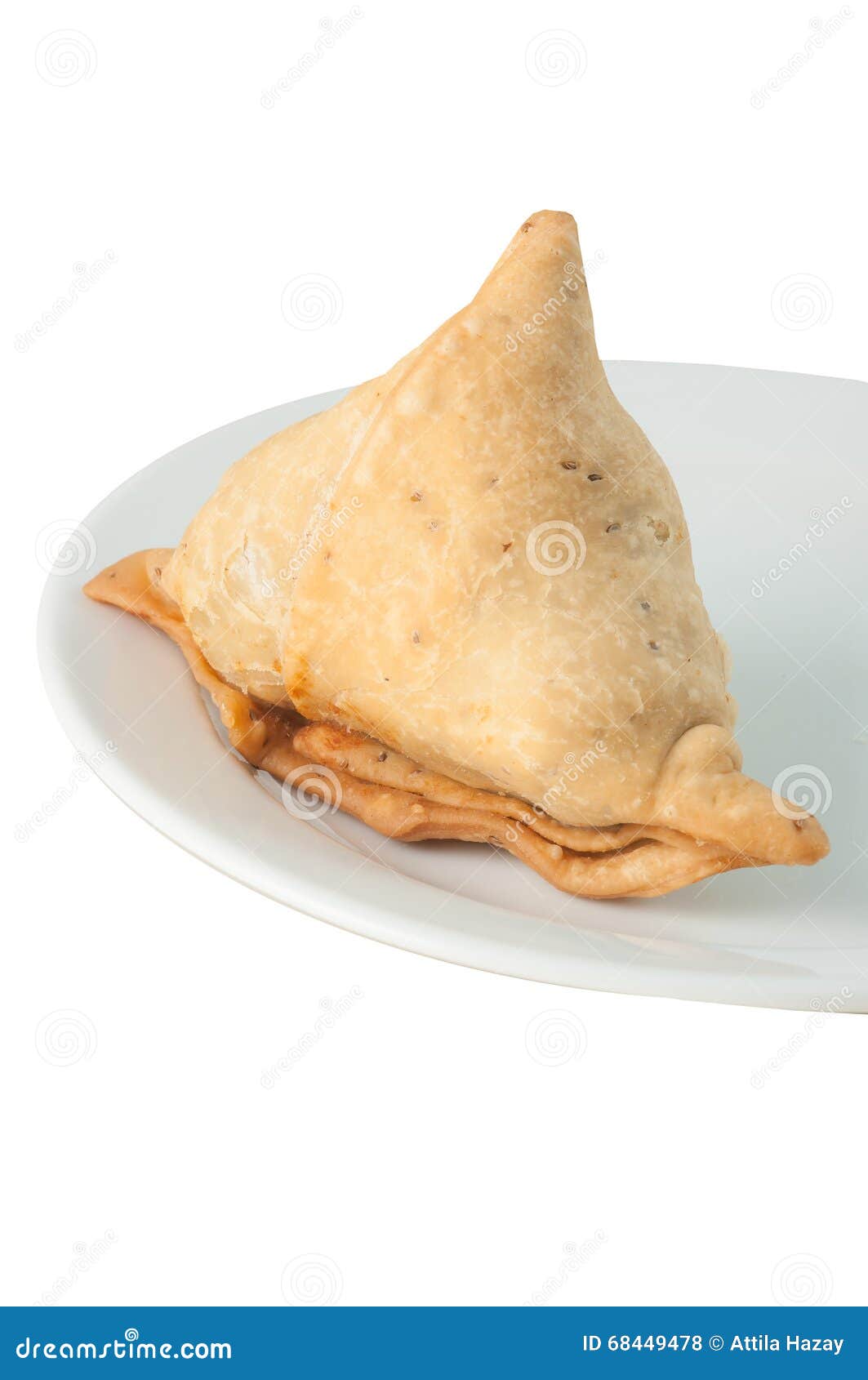 Indian snack samosa stock photo. Image of starter, samosa - 68449478