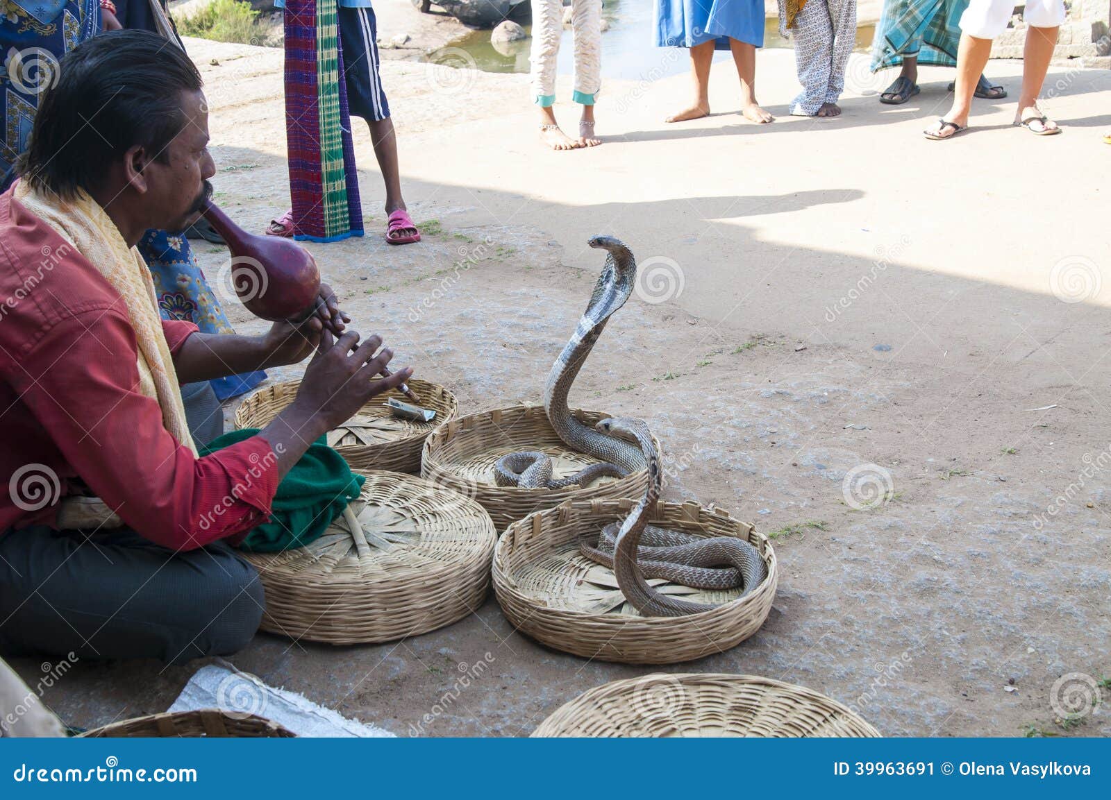 Indian snake charmer editorial photo. Image of fakir - 39963691