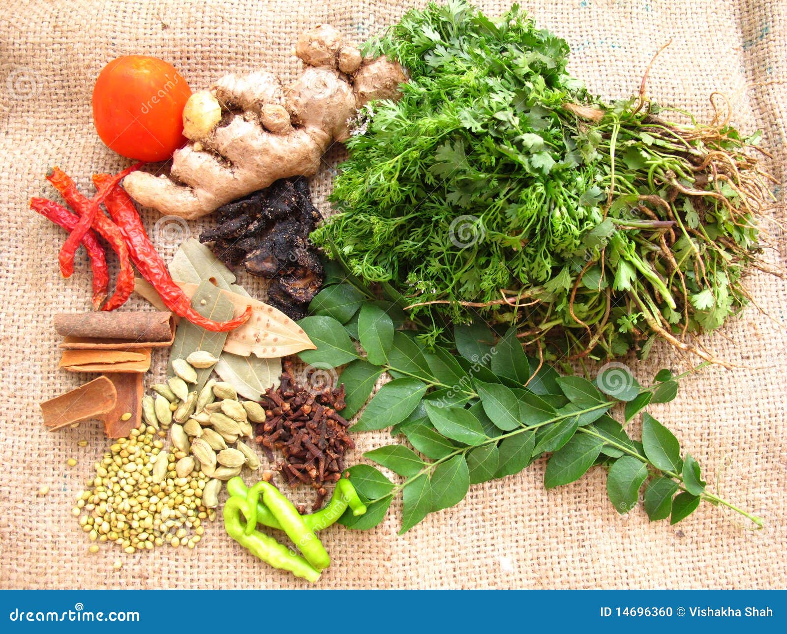 Indian Spices stock photo. Image of coriander, spices - 14696360