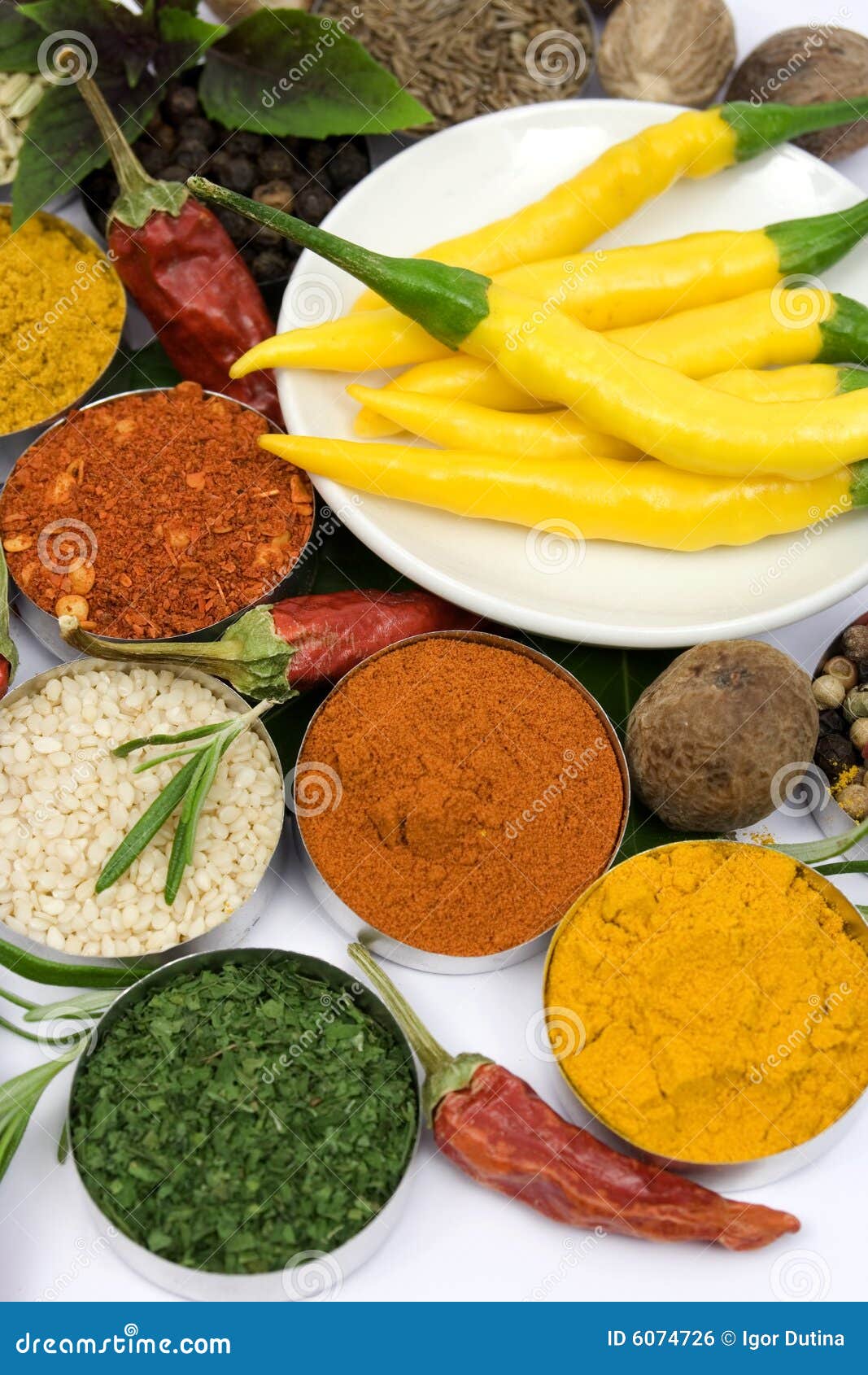 Indian spices stock photo. Image of cooking, nutmeg, cinnamon - 6074726
