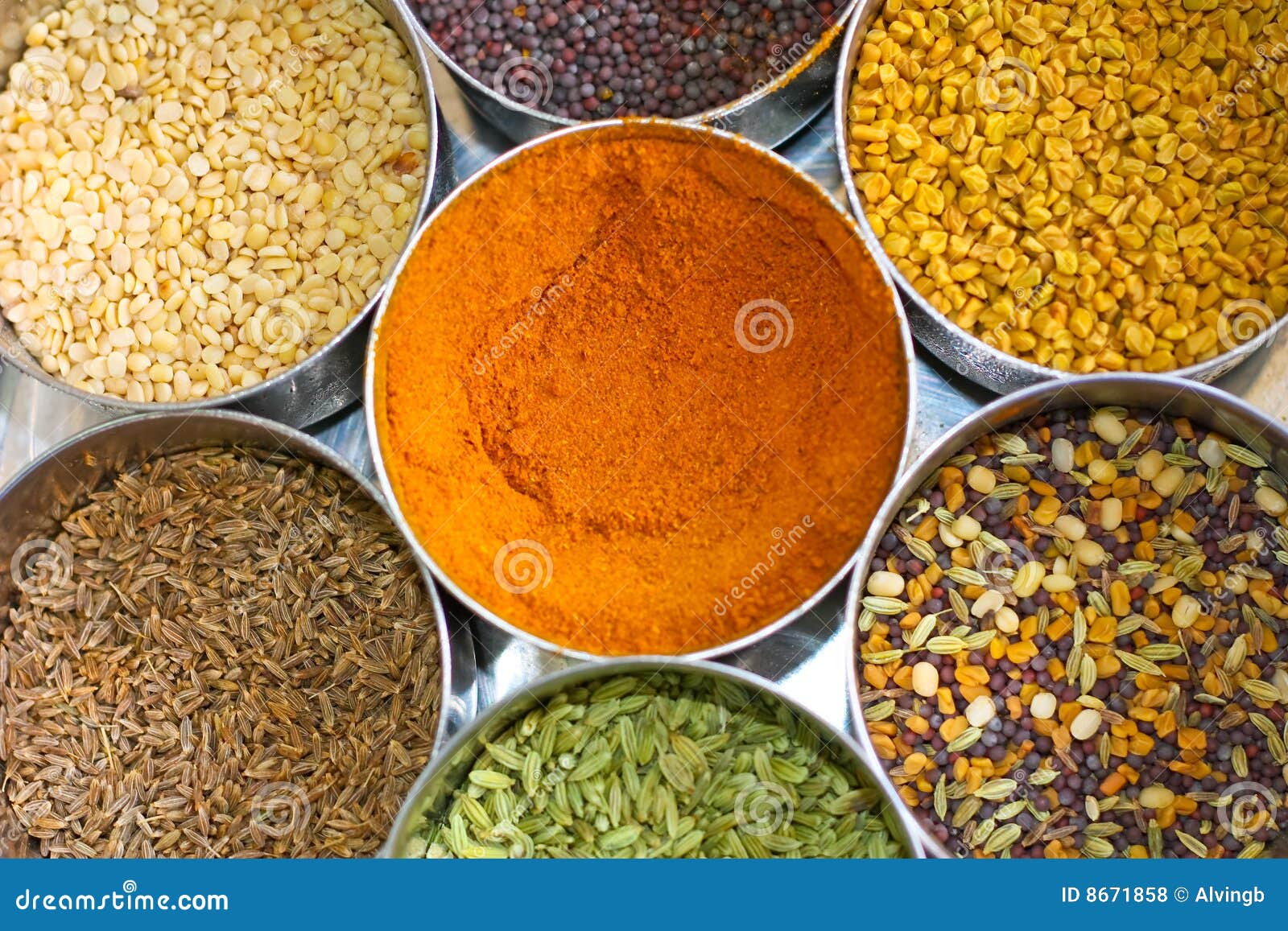 Indian spices stock photo. Image of grain, organic, color - 8671858