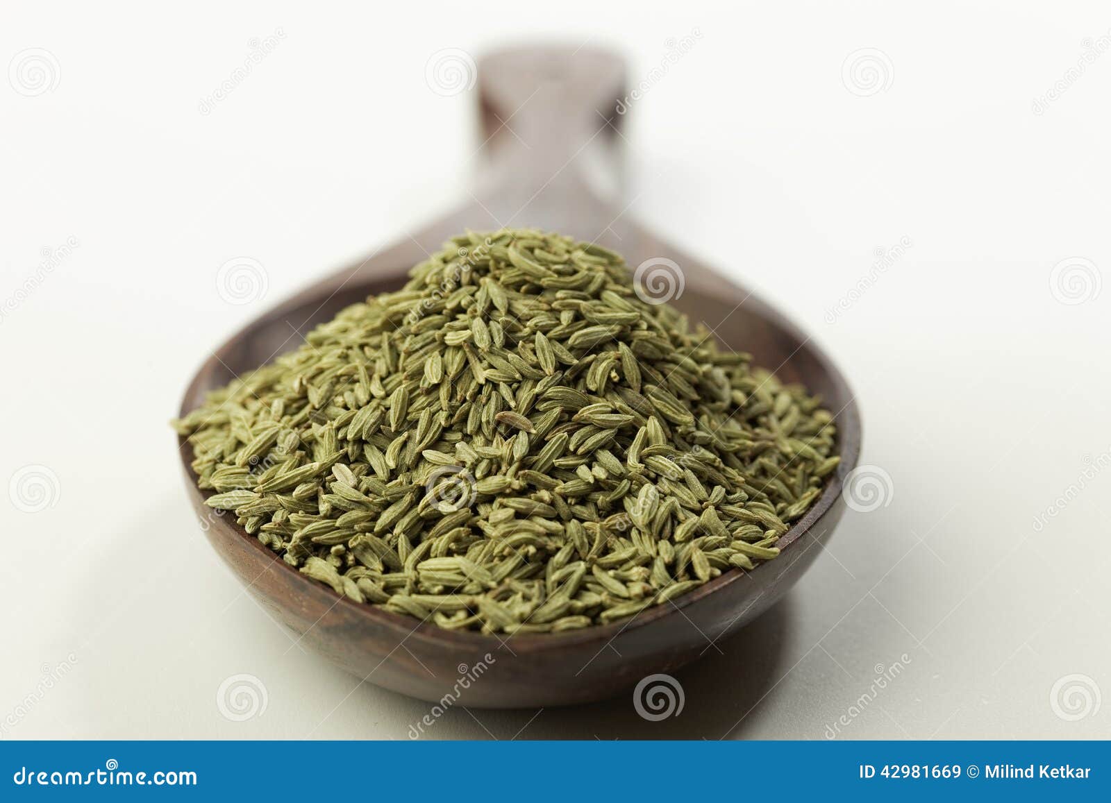 Indian spices-Aniseed. stock image. Image of background - 42981669