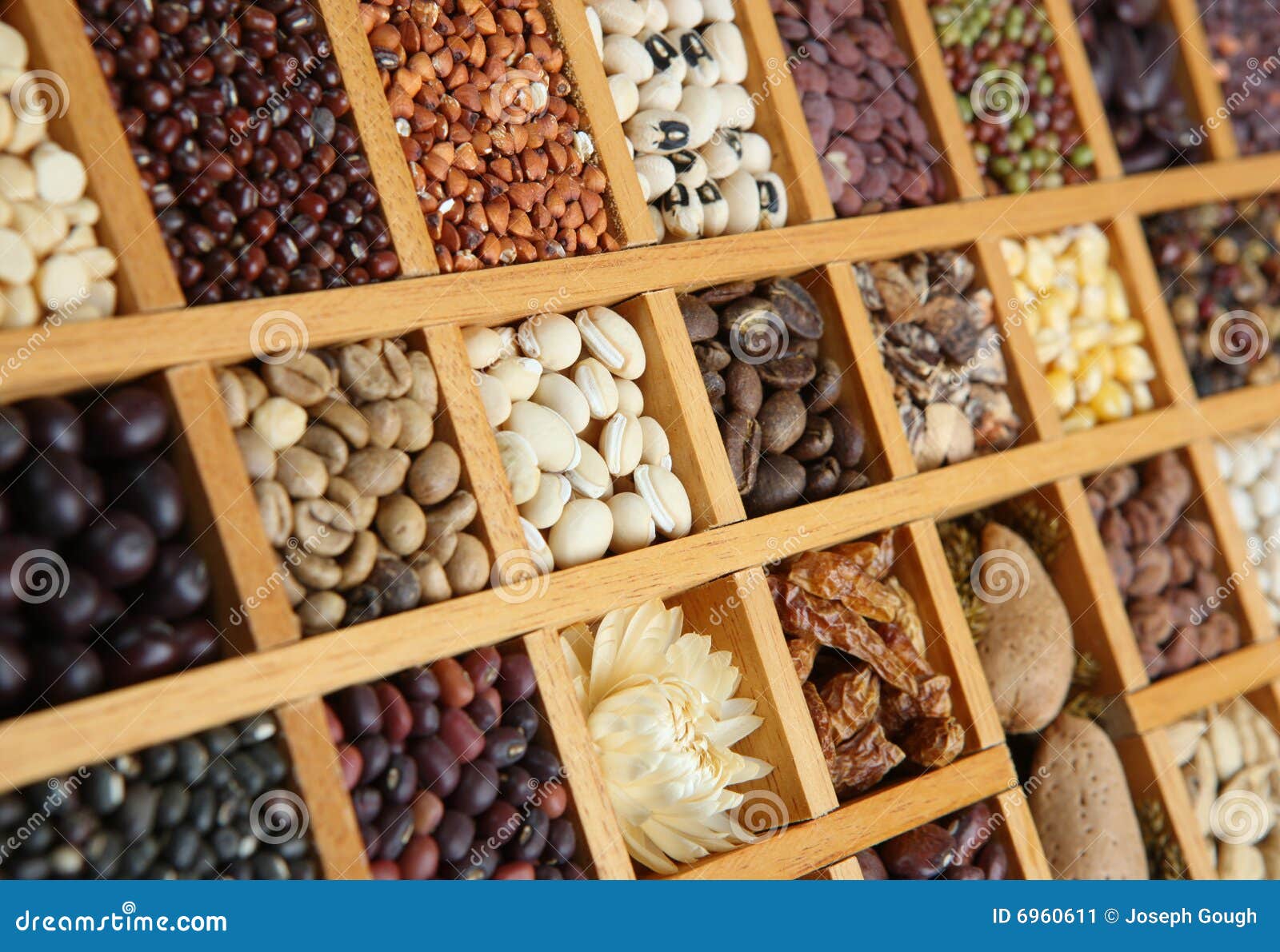 Indian Spices, Beans and Seeds Stock Image - Image of cookery, cuisine ...