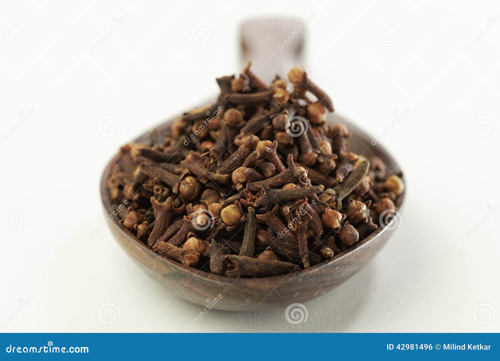 Indian spices-Clove. stock photo. Image of collection - 42981496