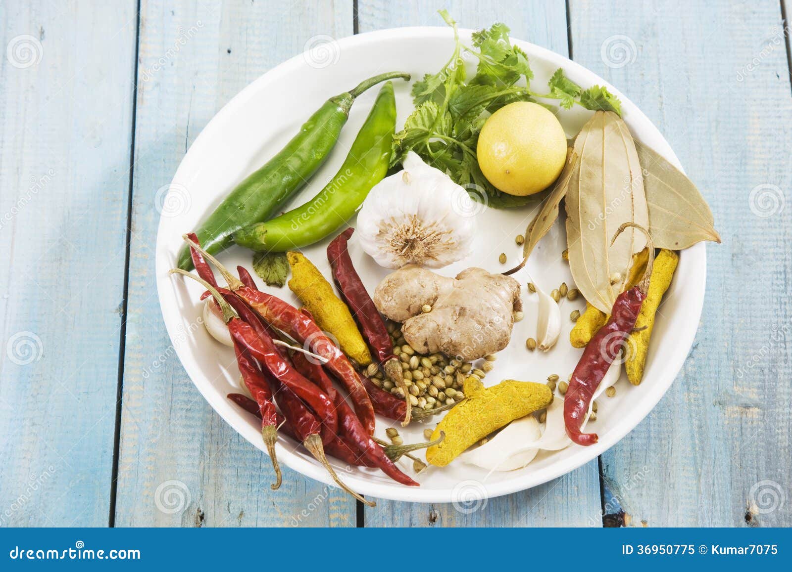 Indian Spices stock image. Image of onion, asian, garlic - 36950775