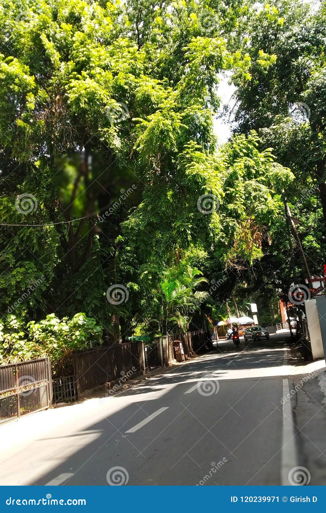 Indian street view stock image. Image of view, beauty - 120239971