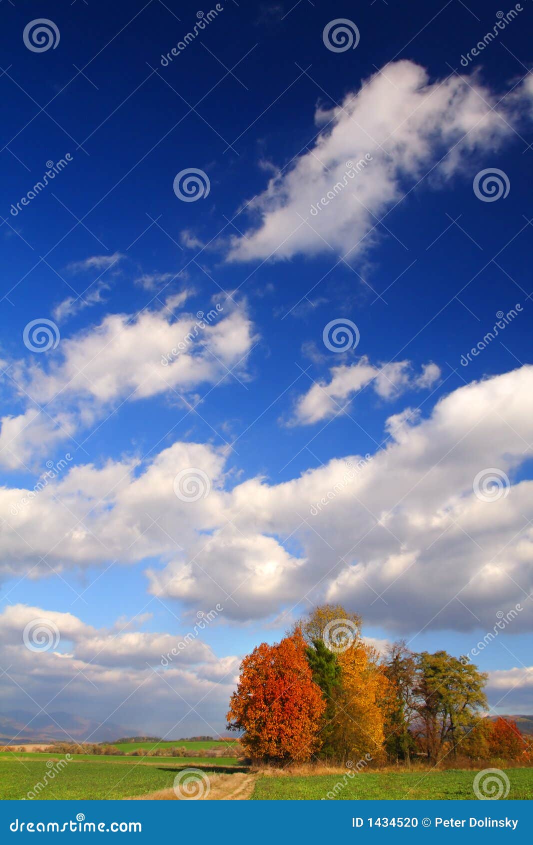 Indian Summer stock photo. Image of autumn, sunny, coloured - 1434520