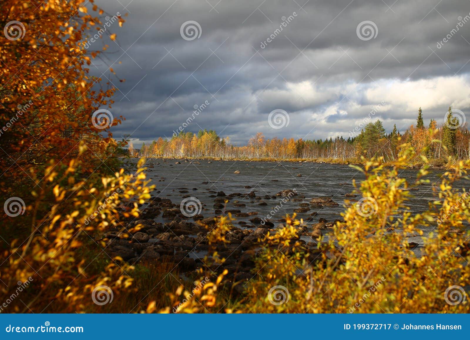 Indian Summer at Pite River at Ljusselforsen in Lapland Stock Image ...