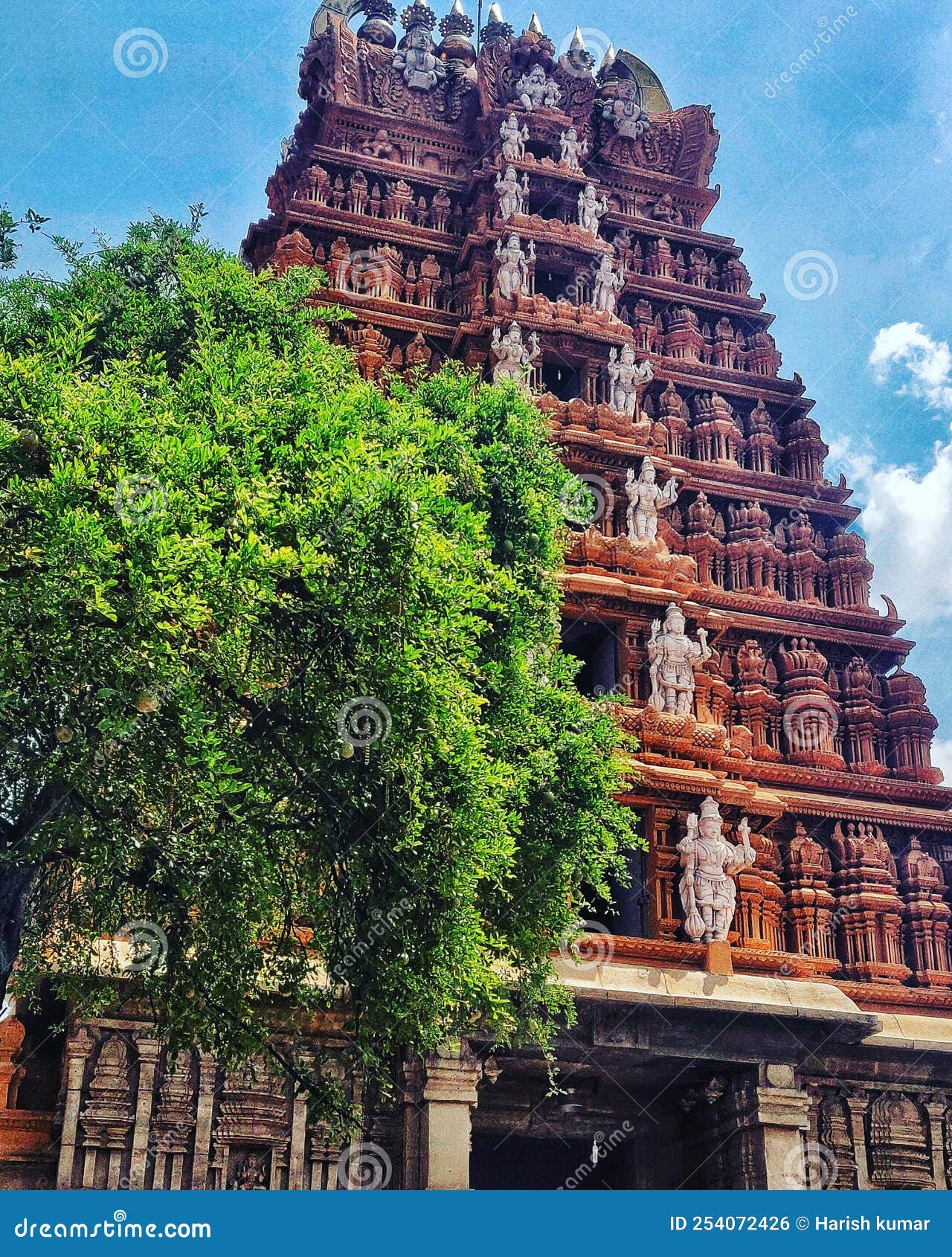 Indian Temple look stock photo. Image of monastery, palace - 254072426