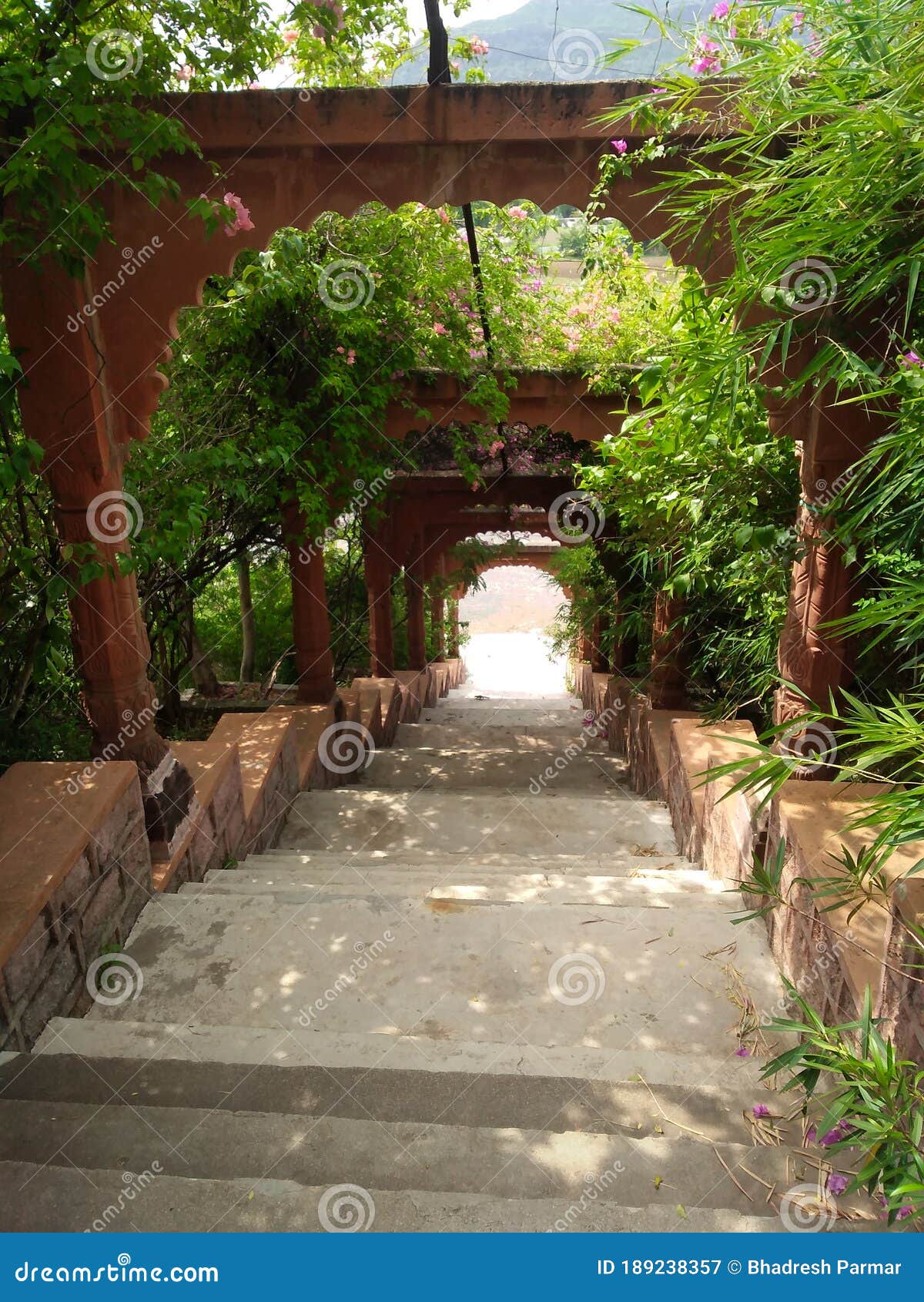 Temple and nature stock image. Image of jungle, shrine - 189238357