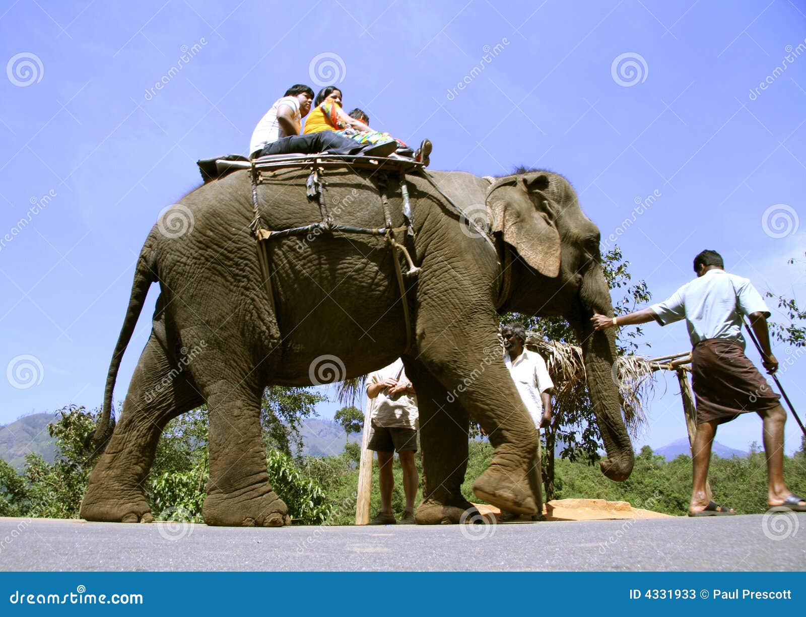 Indian Tourist Family Taking a Elephant Ride Editorial Stock Photo ...