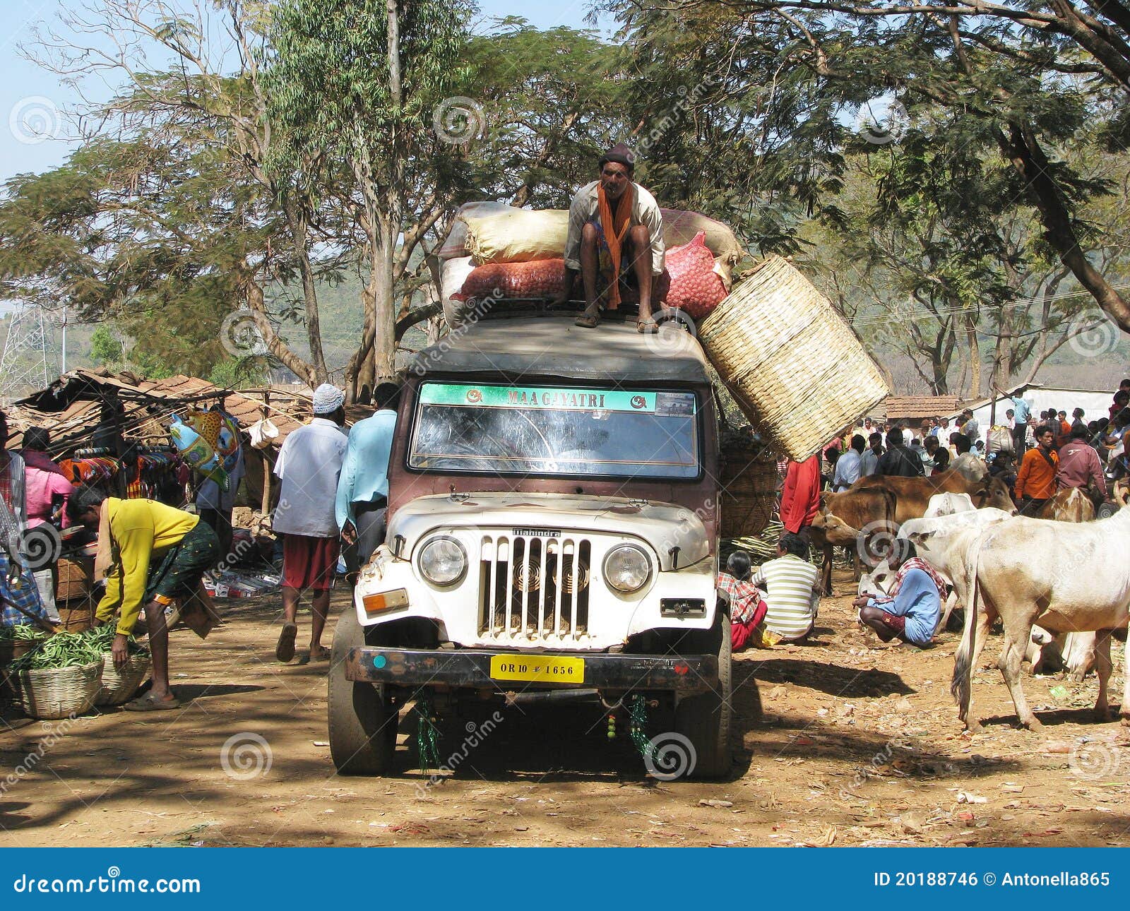 Indian Transportation from the Market Editorial Photo - Image of farm ...