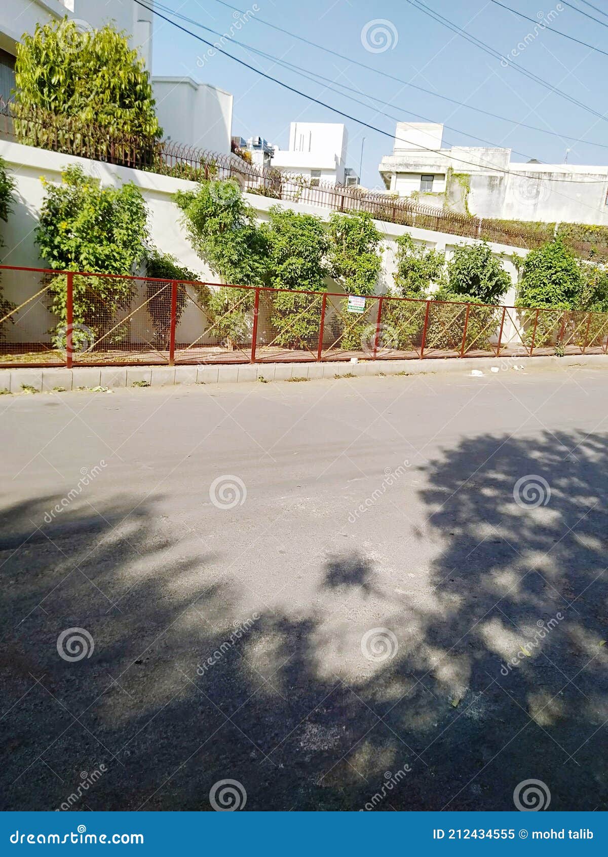 Indian Tree Shadow Street stock image. Image of indian - 212434555