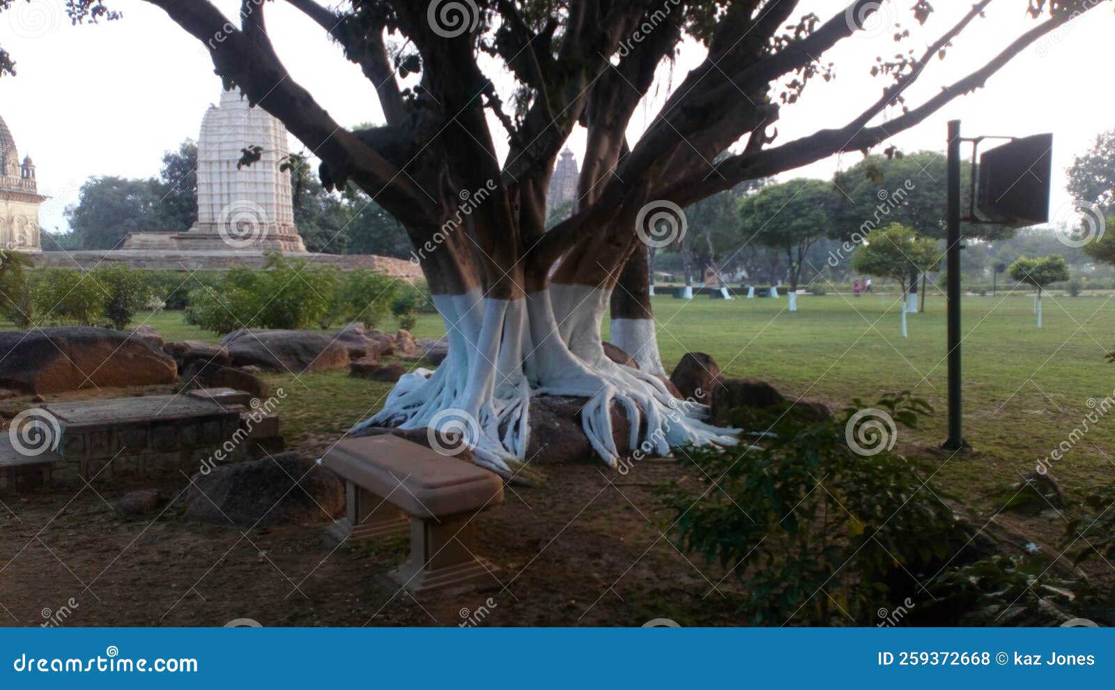 Indian tree temple stock photo. Image of indian, memorial - 259372668