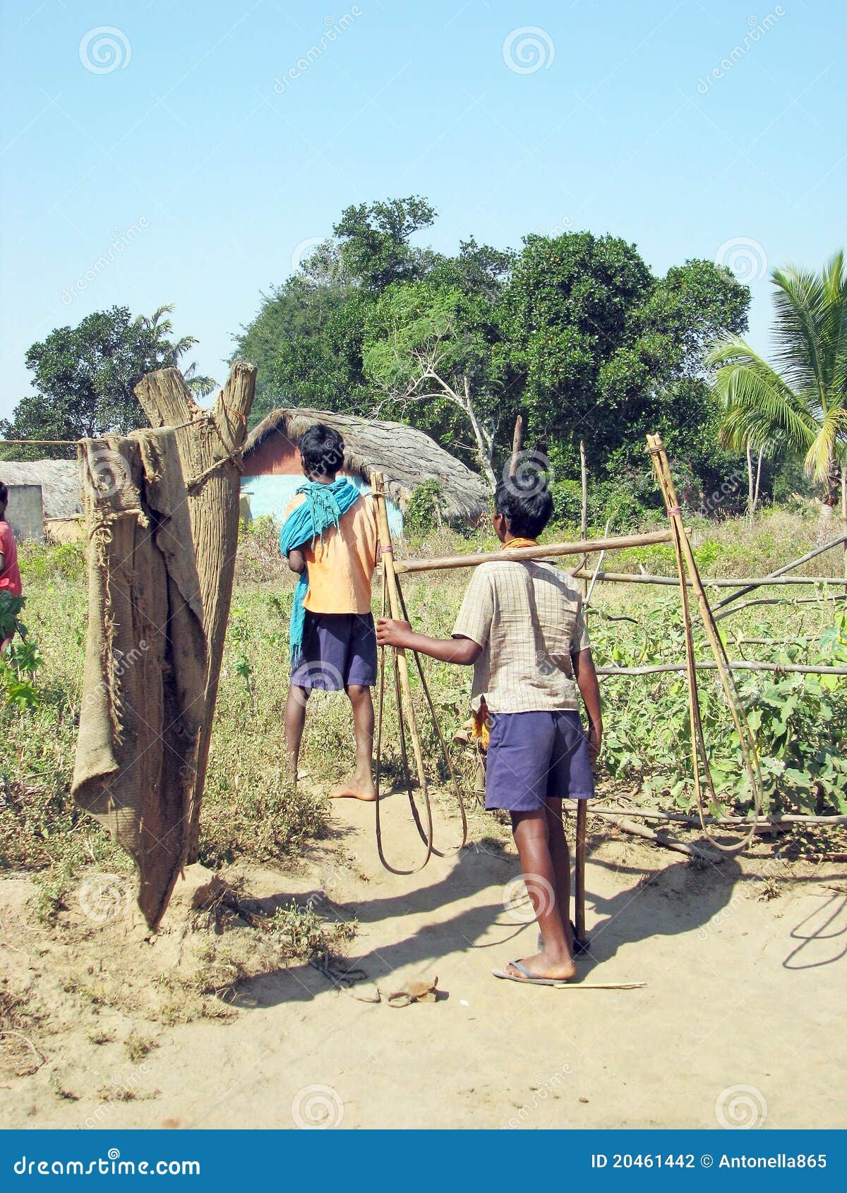 Indian tribal children editorial photography. Image of india - 20461442