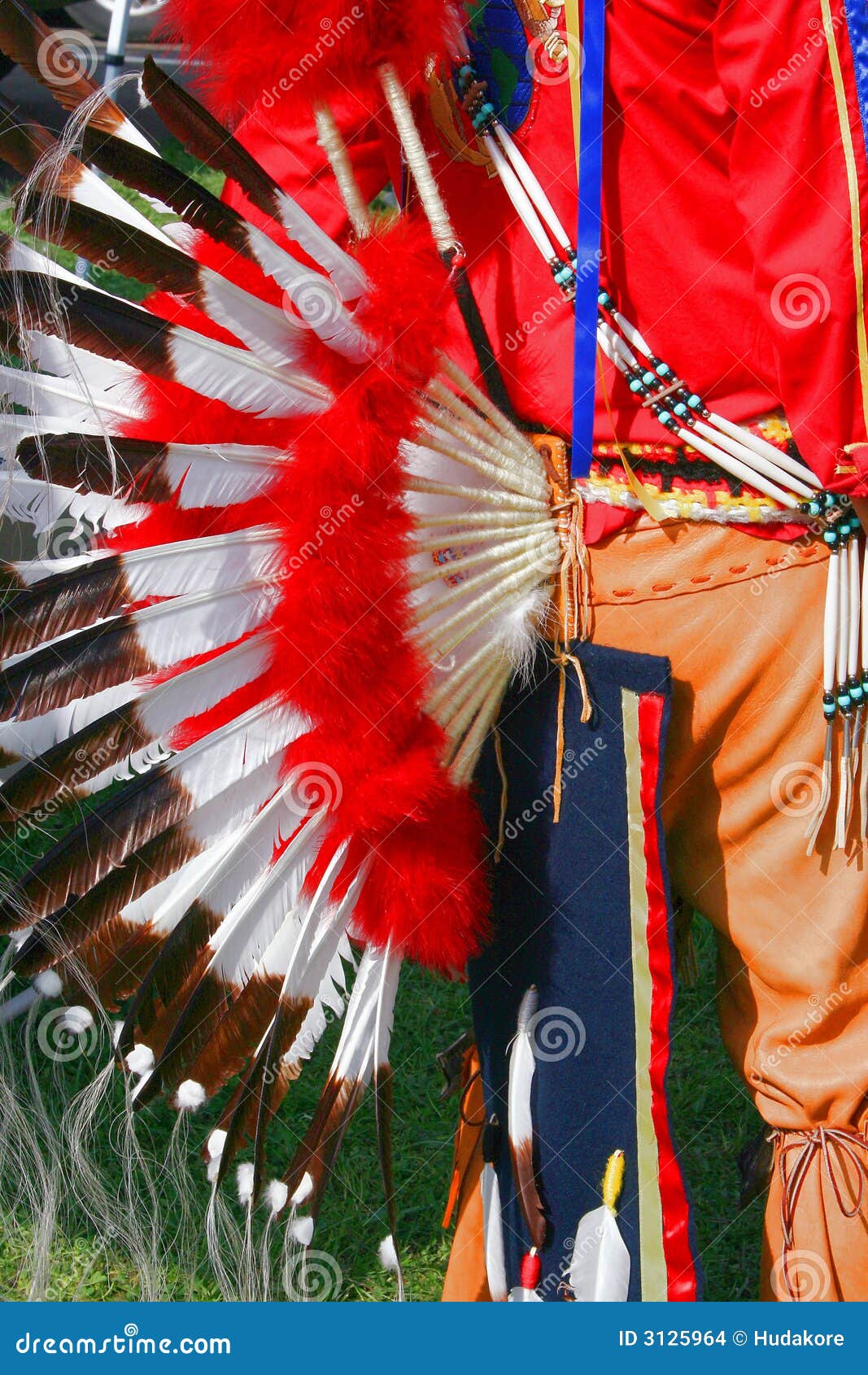 Indian Tribal Costume stock photo. Image of chief, indians - 3125964
