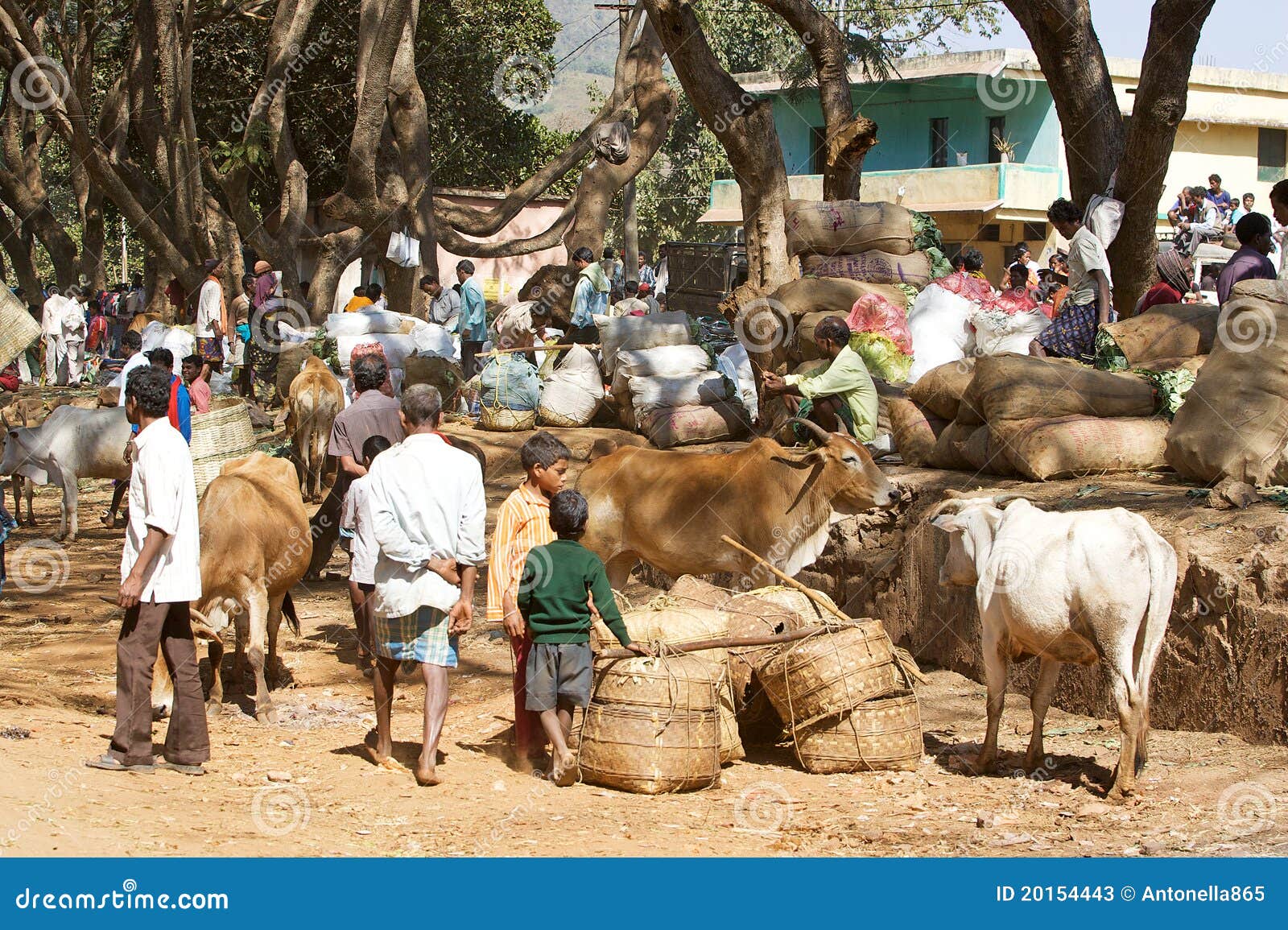 Indian Tribal Rural Weekly Market Editorial Stock Photo - Image of ...