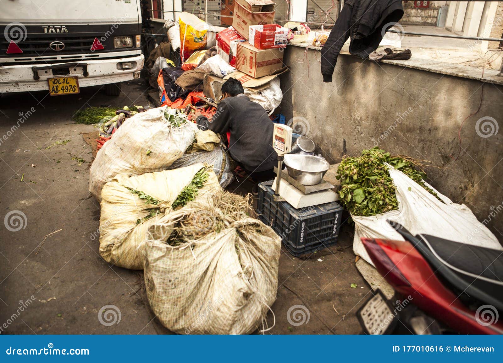 Indian Vegetable and Herb Trader at Grocery Market Editorial Photo ...