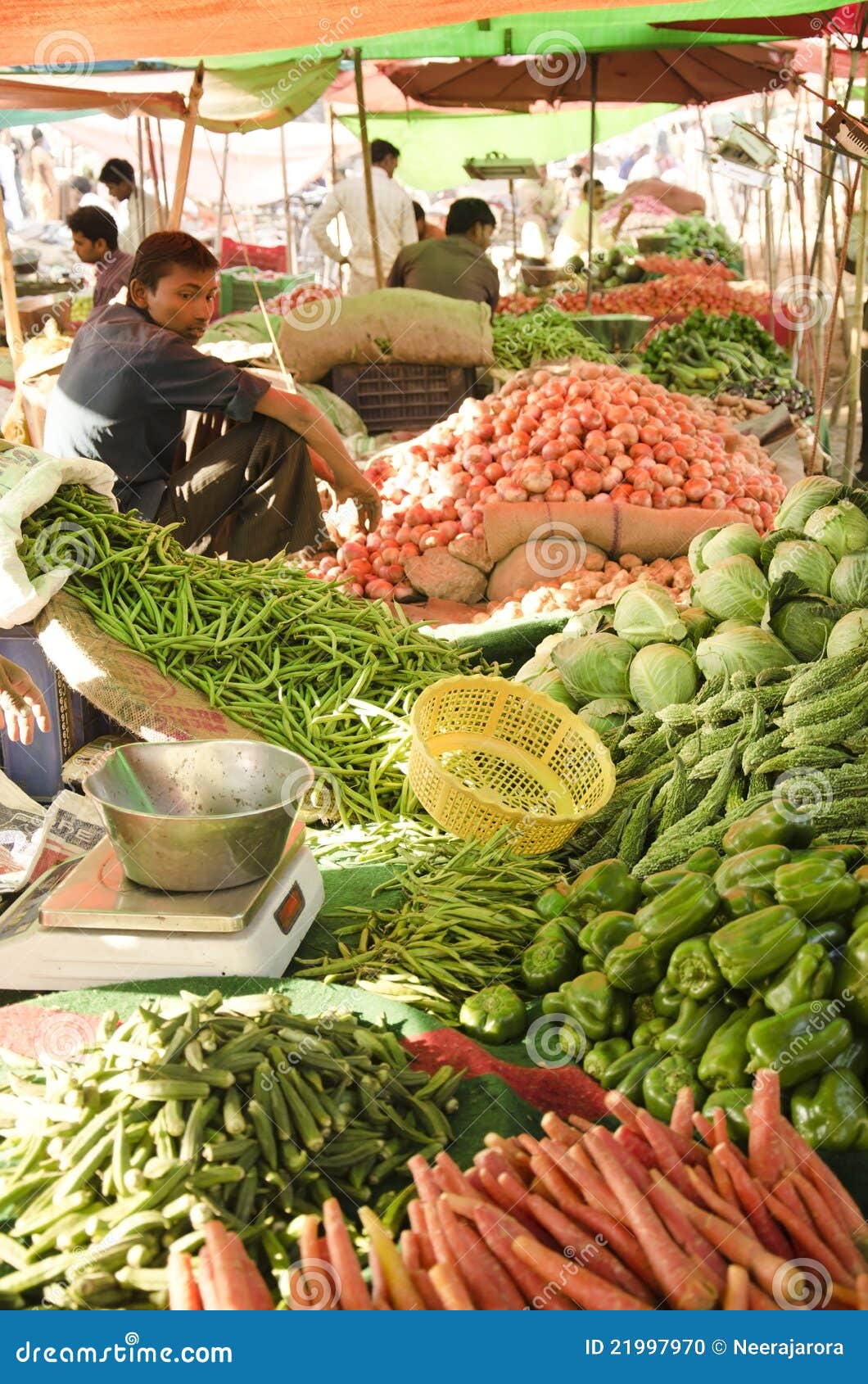 Indian Vegetable-round Gourd Stock Photo | CartoonDealer.com #30945366