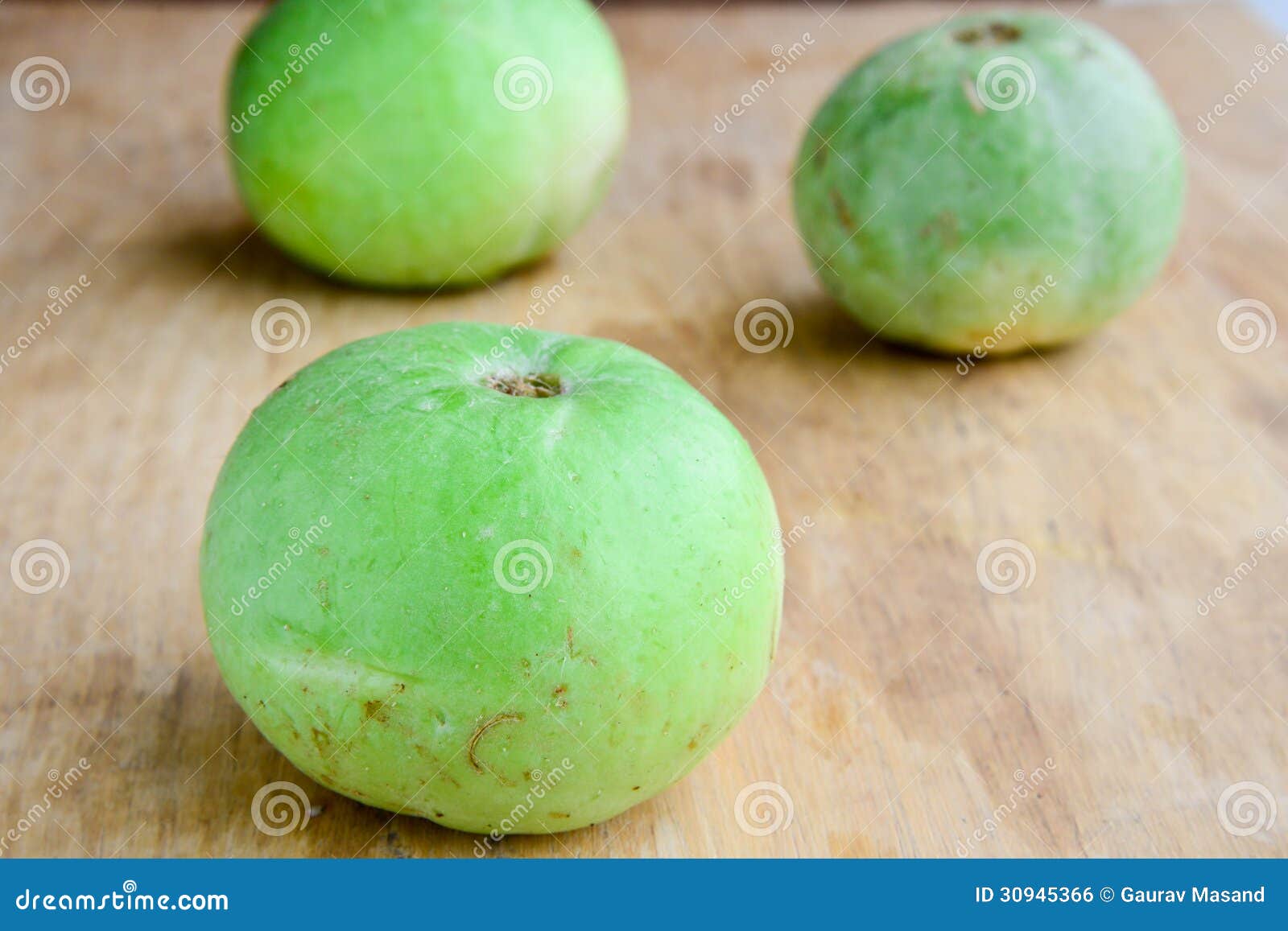 Indian Vegetable-round Gourd Stock Photo | CartoonDealer.com #30945366