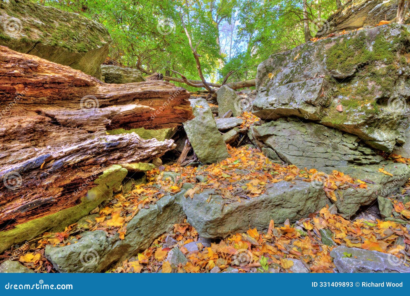 Indian Village Canyon in Fall, Columbus, Ohio Stock Image - Image of ...