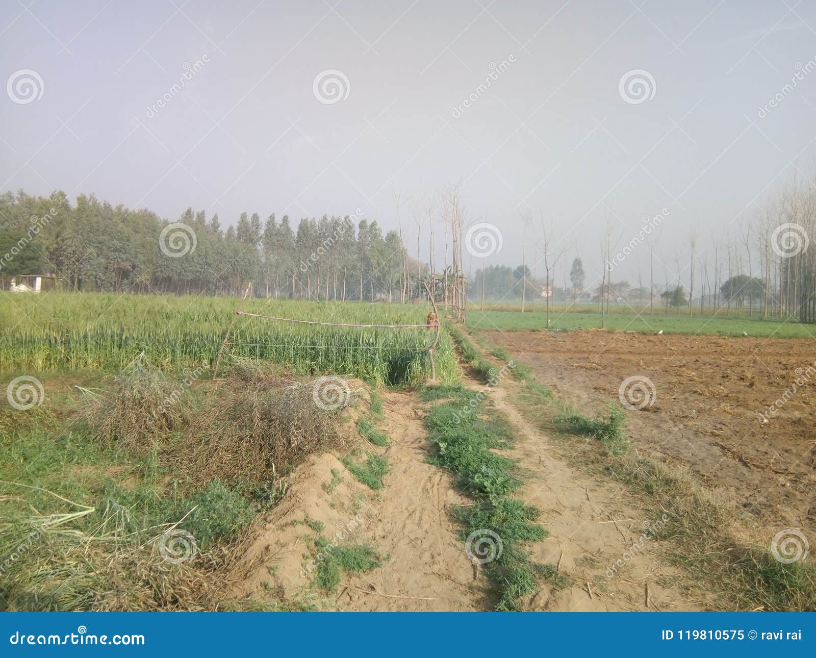 Indian village stock image. Image of village, indian - 119810575