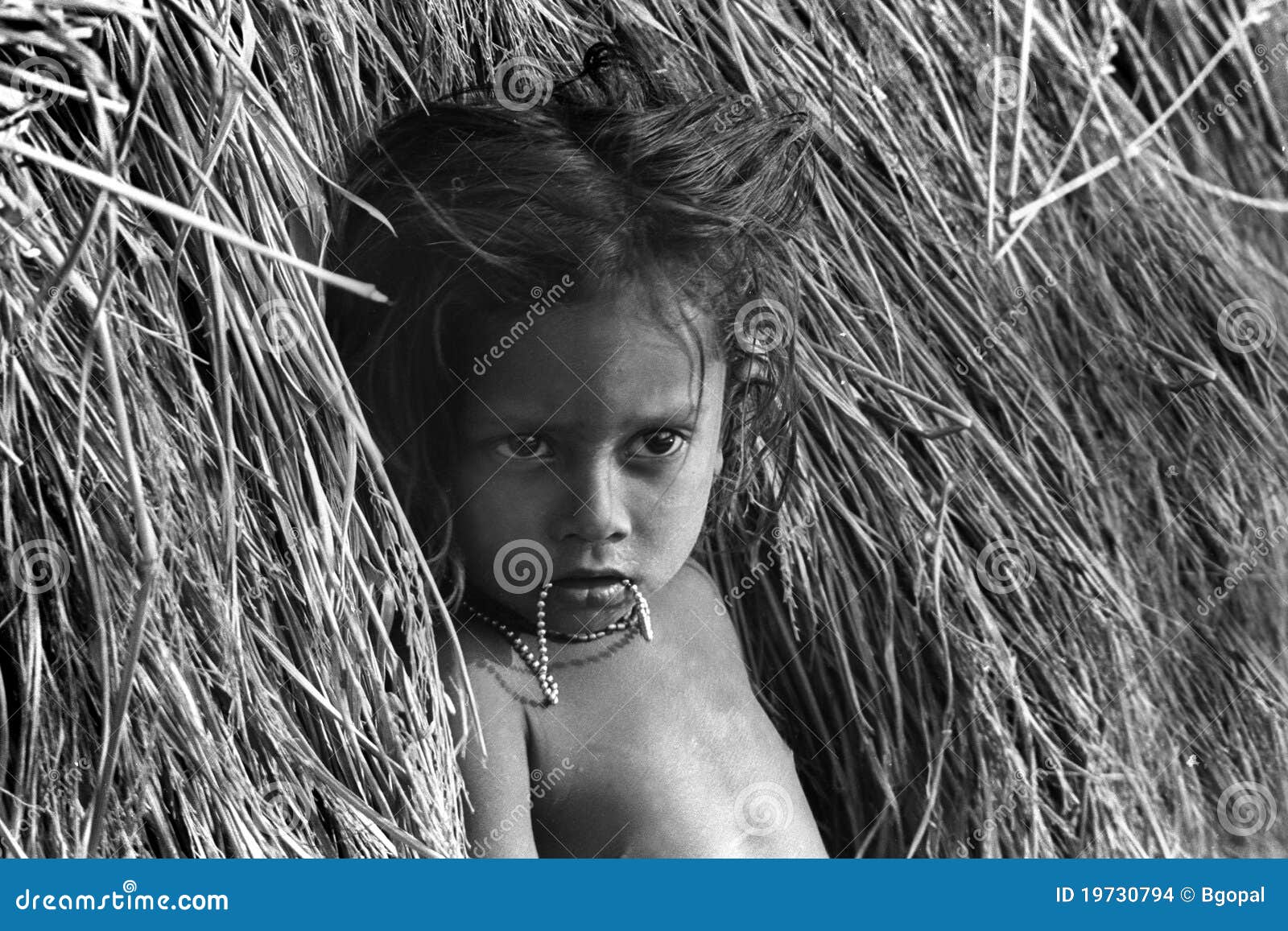 Indian Village Girl in Haystack Editorial Stock Image - Image of india ...