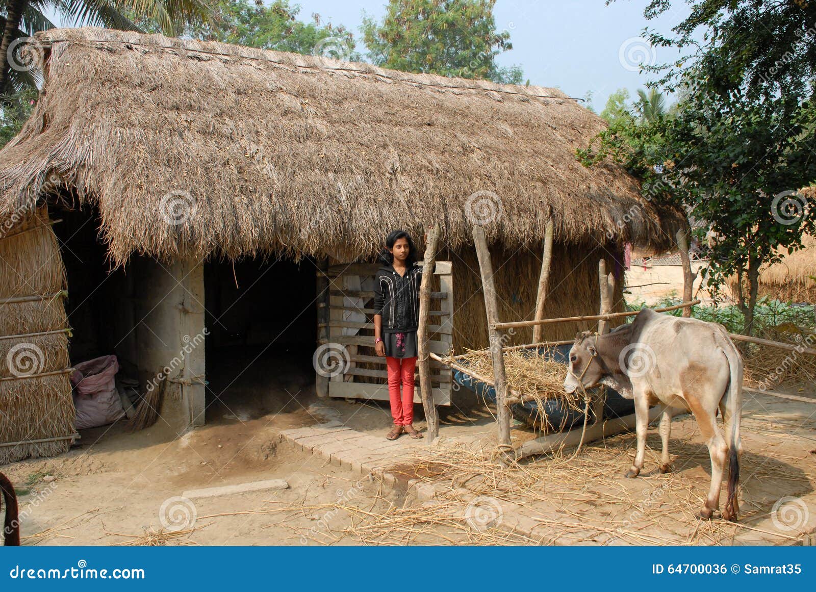 An Indian Village Poor Girl Operating Laptop Computer System Seating In ...
