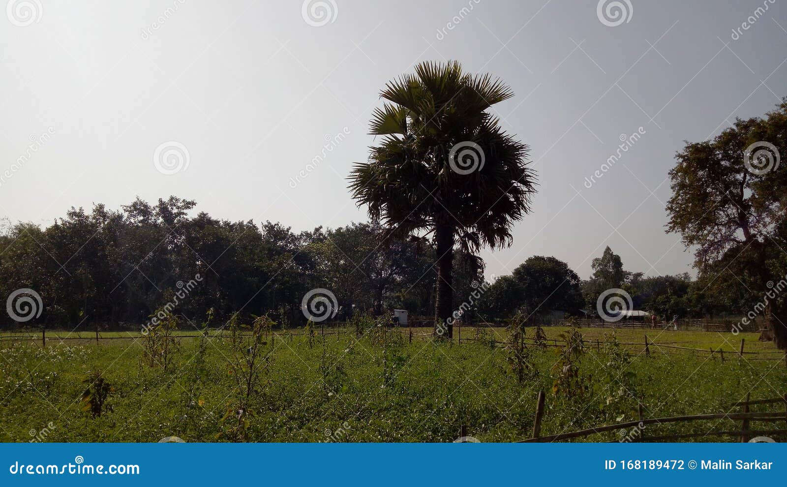 Indian Village Good Looking Environment Stock Photo - Image of good ...