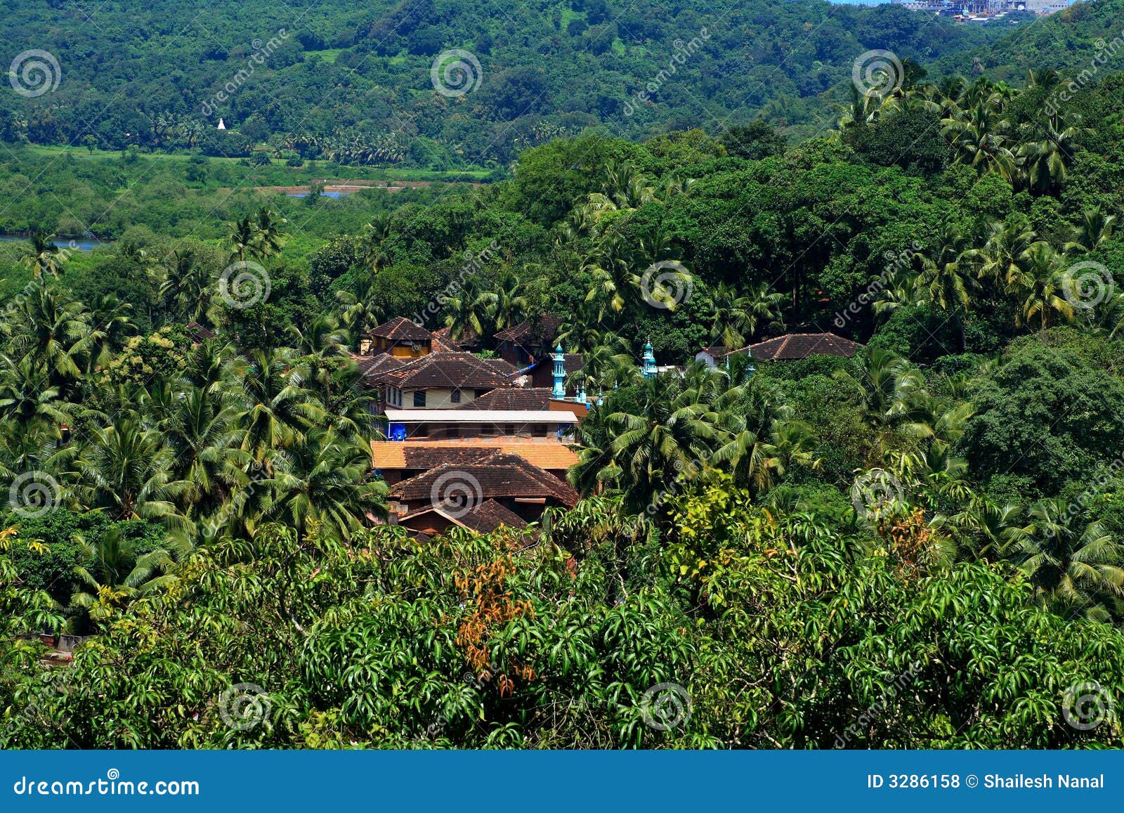 Indian village in jungle stock photo. Image of leaves - 3286158