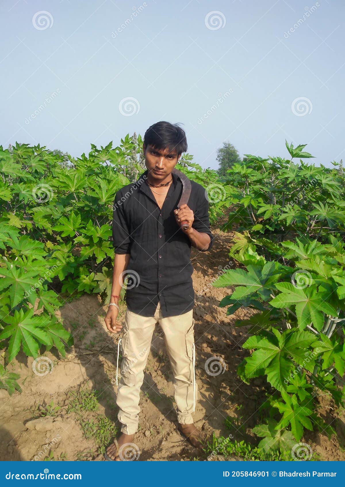 Indian village man stock image. Image of agriculture - 205846901